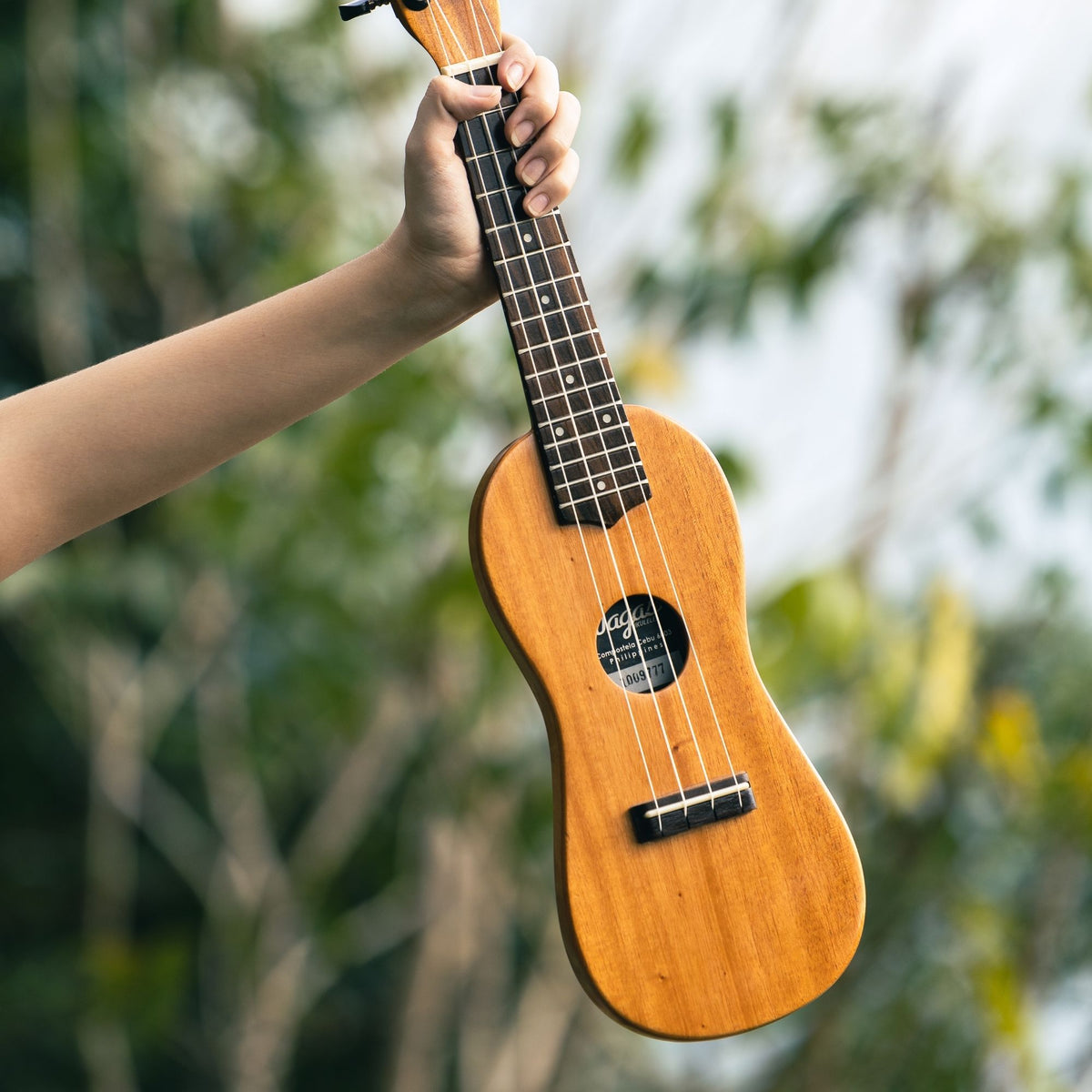 Soprano Travel Ukulele - Personalized by Wagas Ukuleles – Wagas Ukes